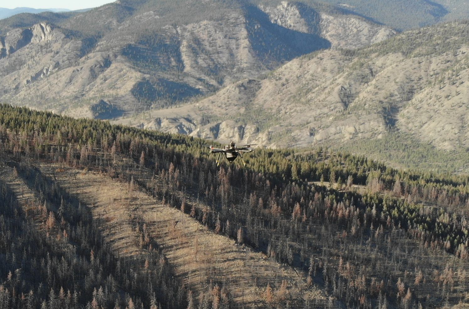 Drones for Wildlife Monitoring and Nature Conservation - SkyScouter ...